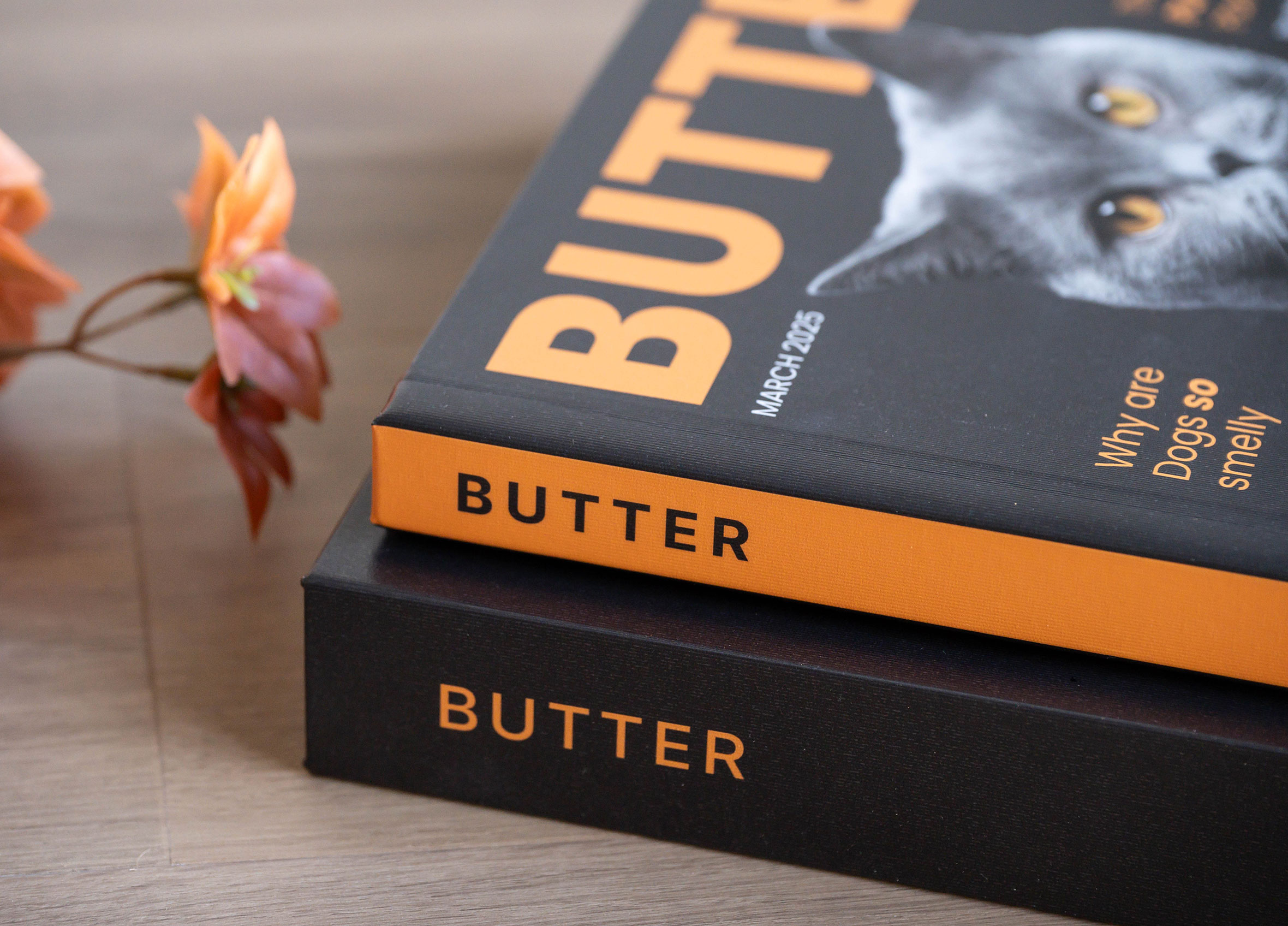 Lifestyle Books - Lustre | Seldex Artistic Albums